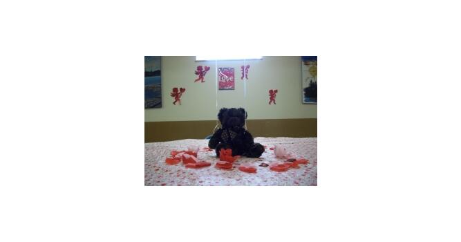 Jesse Willms Helps Provides a Romantic Valentine's Day at Bissell ...