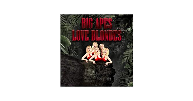 Novocortex Wins the W3 Award for the iPhone Game Big Apes Love Blondes - PR.com