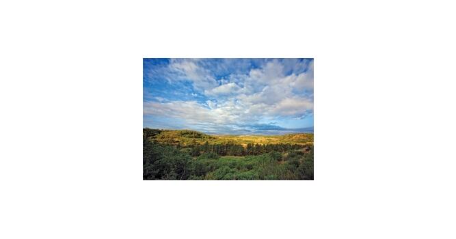 Taylor Morrison Debuts New Homes in Denver at Terrain in Castle Rock ...
