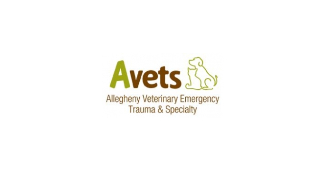 Avets Receives VECCS Certification as Level I Veterinary Emergency and ...