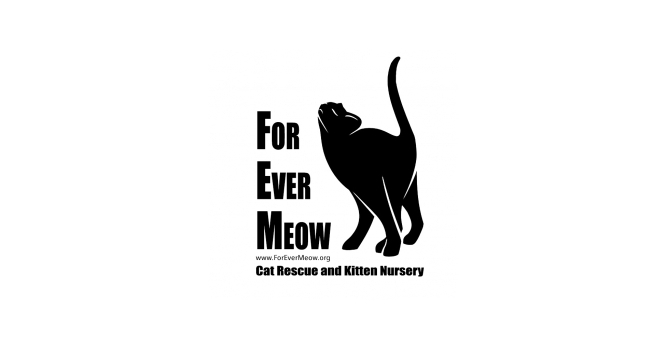 FoEverMeow Awarded Prestigious Best Friends Grant for Kitten Nursery ...