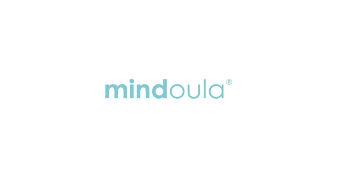 Mindoula Named to The 2018 Inc. 5000 List of America's Fastest-Growing ...