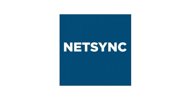 Netsync Poised for Growth in 2019 - PR.com