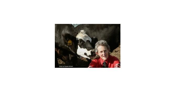 An Evening with Temple Grandin: Connecting Animal Behavior & Autism ...