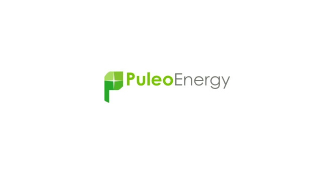 Samuel Puleo, Head of Leoco Financial LLC, Re-Brands Company as Puleo ...
