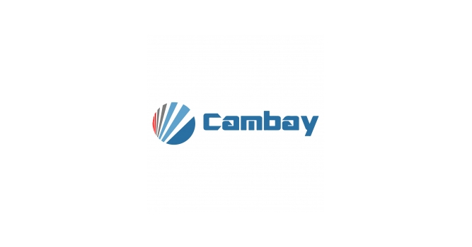 Cambay Consulting Started Providing Workforce Management Solutions Into ...