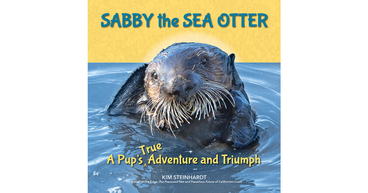 A Young Sea Otter's True-Life Adventure Teaches Young Readers About ...