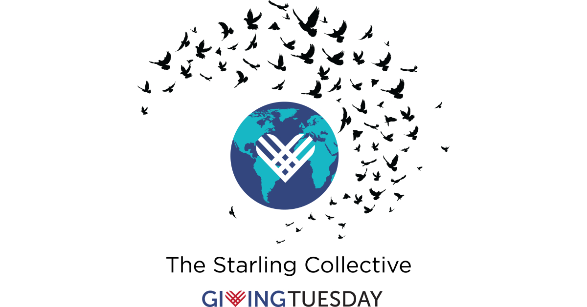 GivingTuesday Launches Global Learning Initiative and Microgranting for ...
