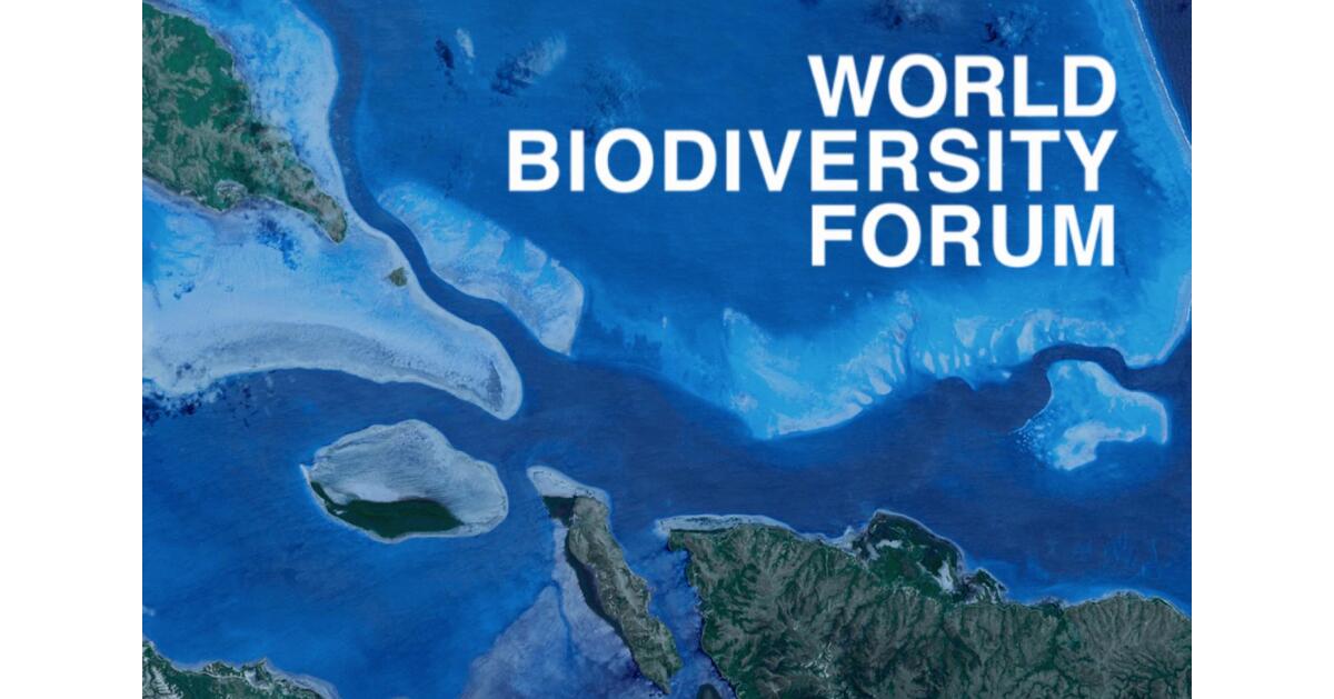 The World Biodiversity Forum Announces New Virtual Convention in ...