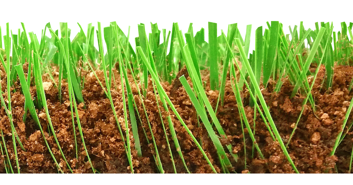 Sprinturf Celebrates 15 Years of Greenplay® Organic Infill Enhancing ...