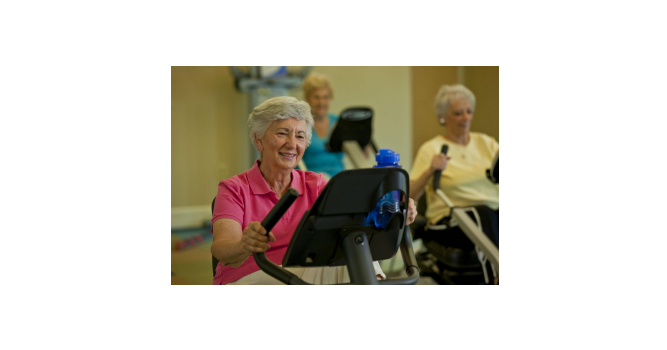 National Institute for Fitness and Sport Partners with Wellzesta to ...