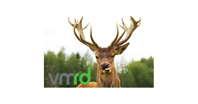 VMRD Begins Manufacturing Key Reagent for Detection of CWD by RT-QuIC ...