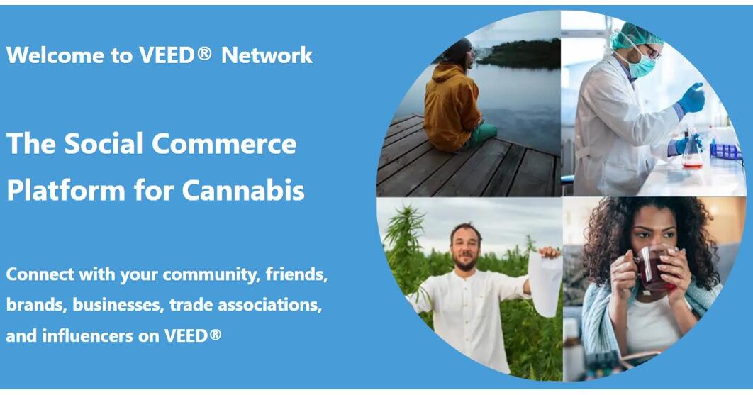 Veed Network Unveils License Badging Feature to Battle Illicit Trade in ...