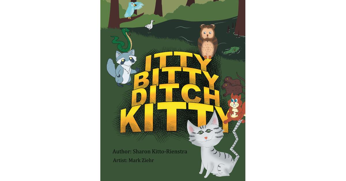 Sharon Kitto-Rienstra’s New Book, "Itty Bitty Ditch Kitty," Follows a ...