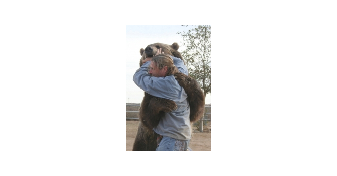 Rocky, the Wrestling Grizzly, Featured in Will Ferrell's New Movie ...
