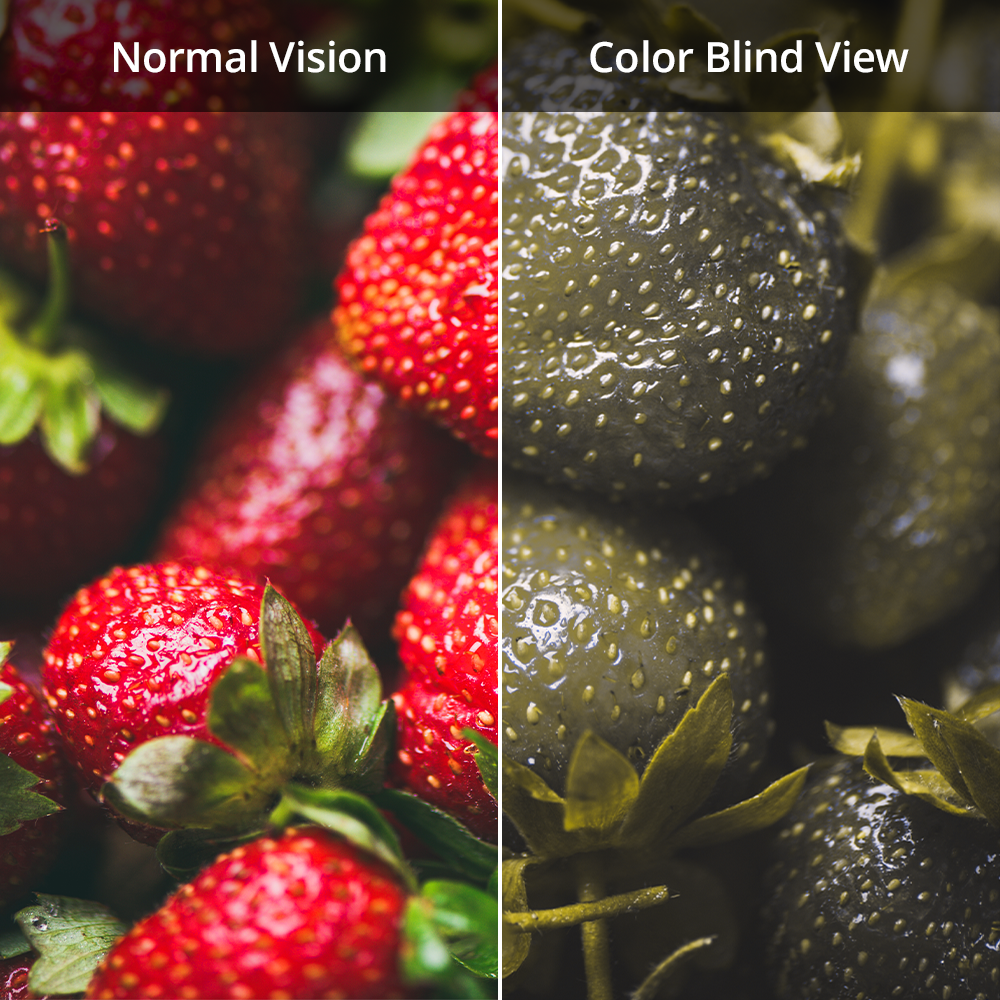 EnChroma Glasses That Help People With Color Blindness Now Offered At EnChroma Glasses That Help People With Color Blindness Now Offered At