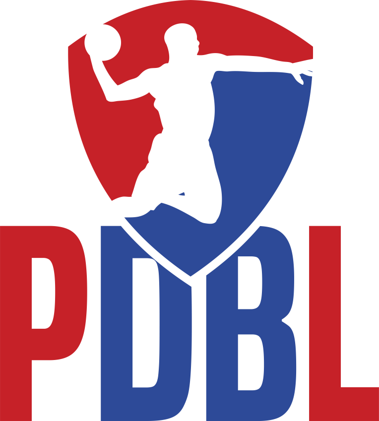 The Professional Dodgeball League Announces Its Launch - PR.com